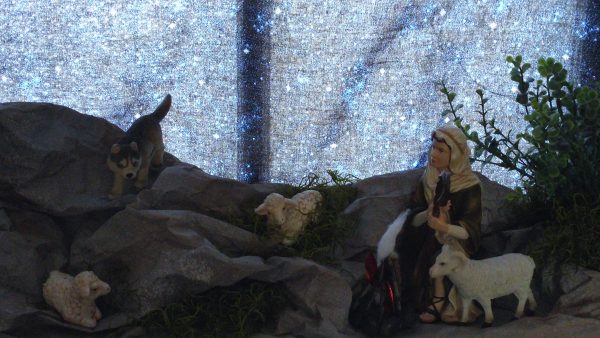 How to set up a devotional Nativity Scene - Magnificat Media | Creation ...